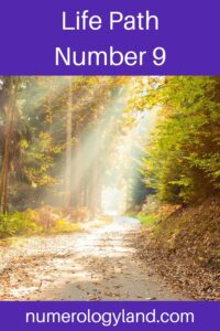 Life Path Number 9 (Explained!) - Numerology Land